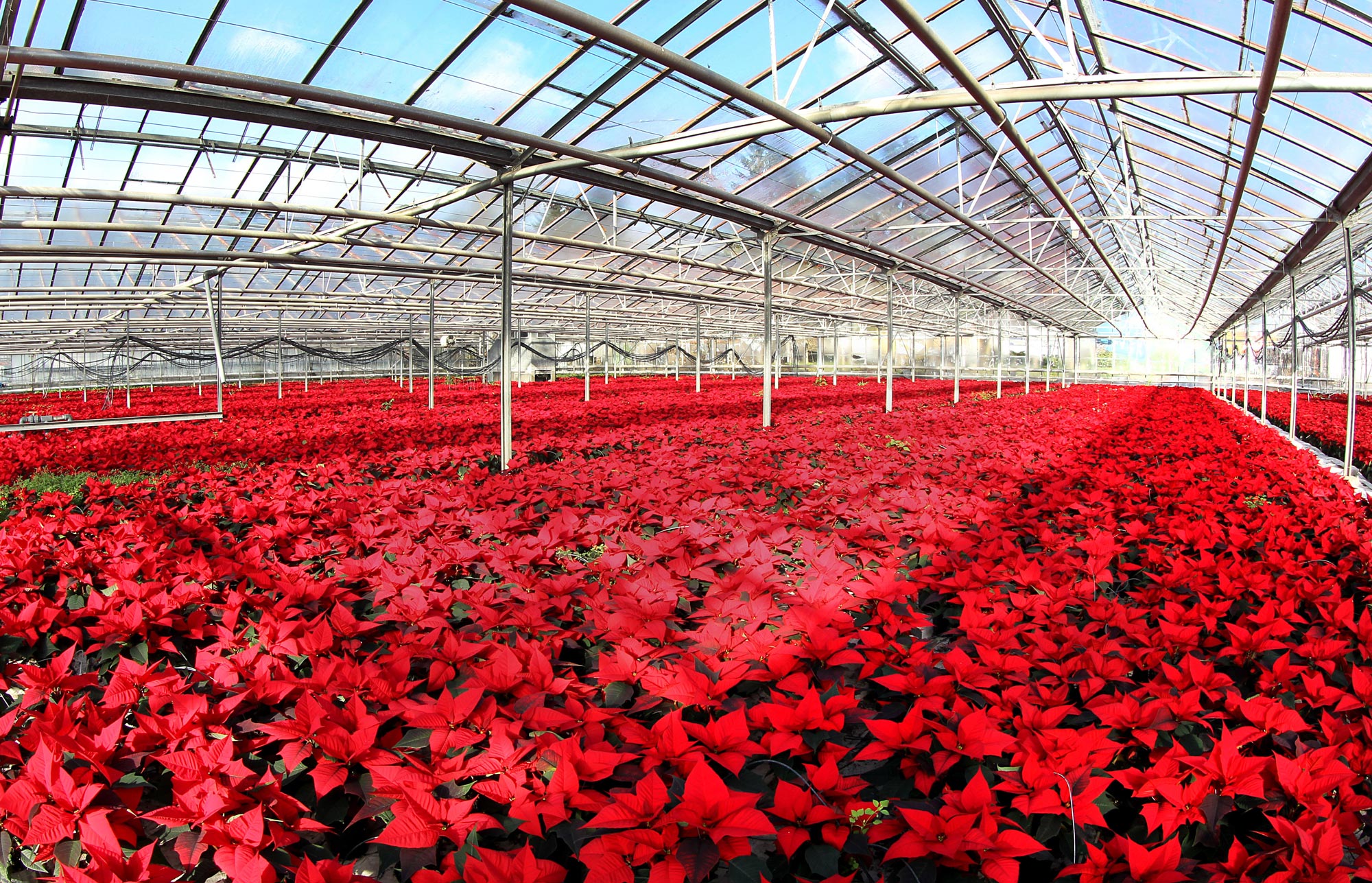 Profile® Growing Solutions