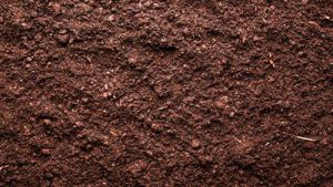 Our Products - The Key to Better Growing Media - Profile Growing Solutions