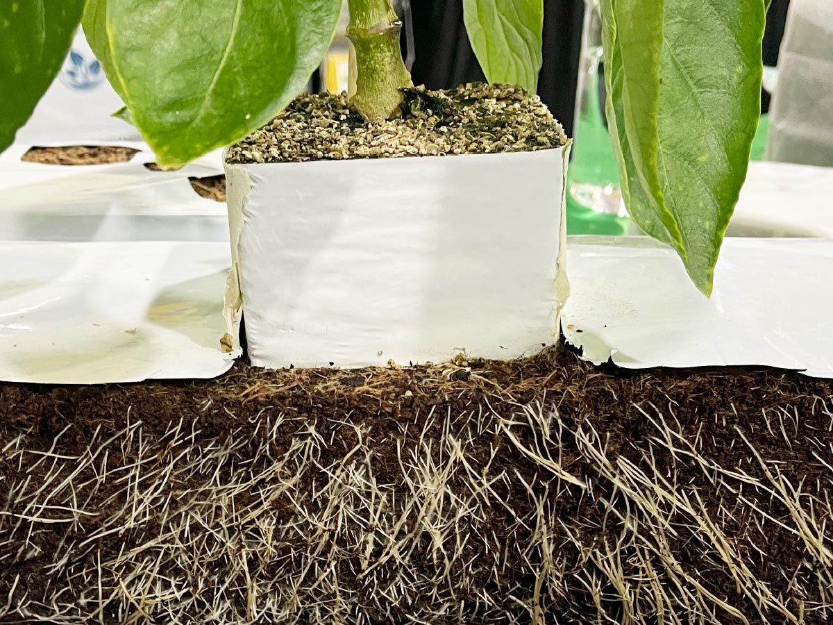Hydroponics - Profile Growing Solutions