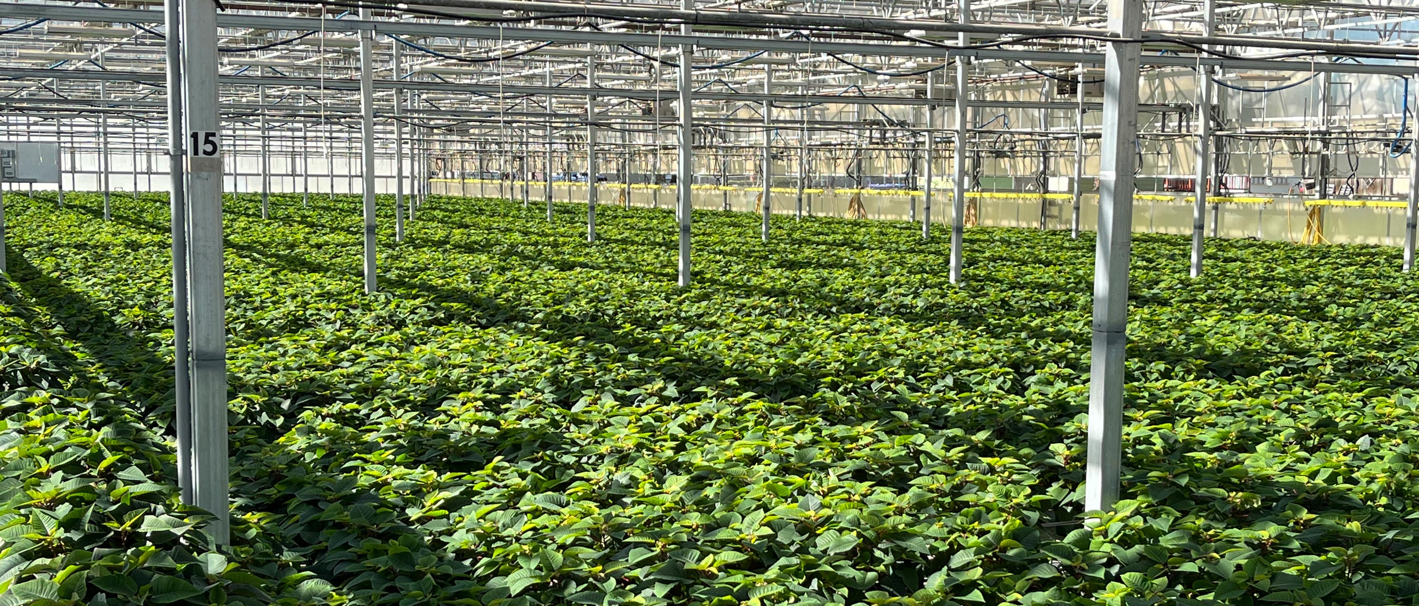 Florikan®: Knowledge Base - Profile Growing Solutions